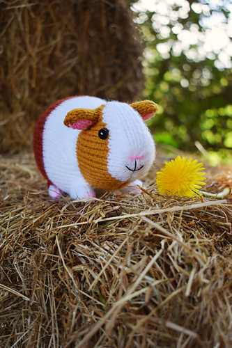 Ravelry: Gordon the Guinea Pig pattern by Trish Roberts | trishlemoose