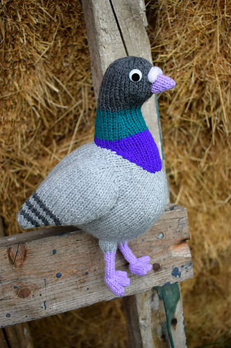 Ravelry: Paul the Pigeon pattern by Trish Roberts | trishlemoose
