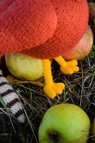 Ravelry: Philip the Pheasant pattern by Trish Roberts | trishlemoose