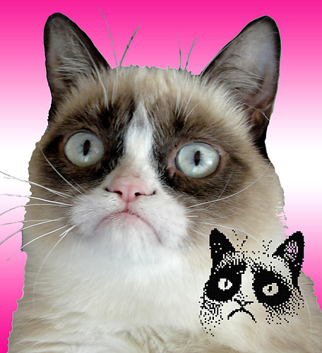 Ravelry: Tardar Sauce aka Grumpy Cat pattern by Tracy Widdess