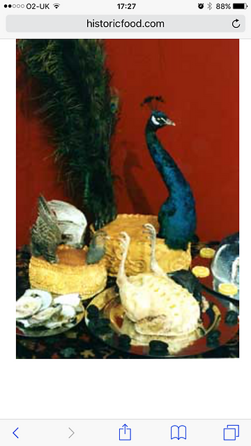 Ravelry: veebran's Peacock Pi Shawl