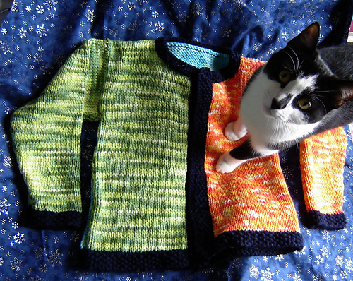 Ravelry: Seed Stitch Cardigan pattern by Sarah Hoadley