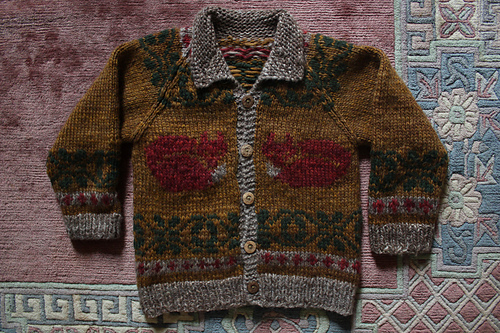 Ravelry: Cowichan Jacket pattern by Pierrot (Gosyo Co., Ltd)