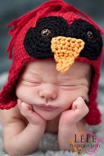 Ravelry: Redbird Rally Cap pattern by Vania Jenny