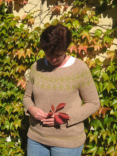 Ravelry: vokurkova's Humulus