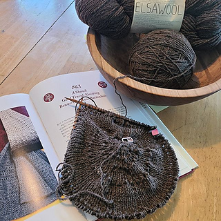 Ravelry: warmwoolie's Pi Shawl