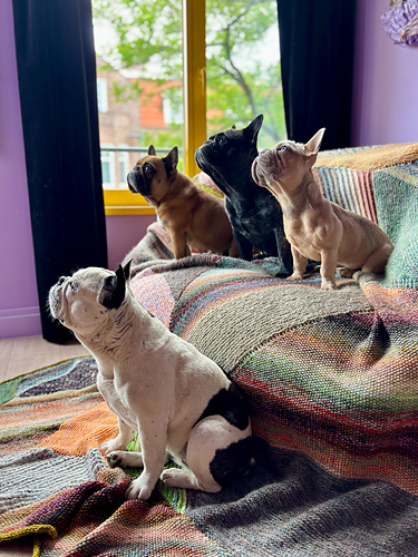Ravelry: Marled Magic Blanket pattern by Stephen West