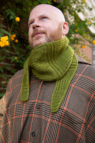 Ravelry: Pierre Skinny Scarf pattern by Stephen West