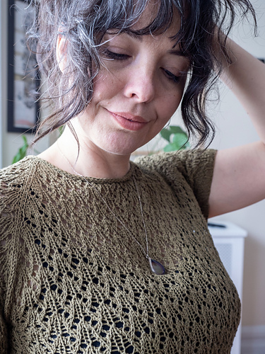 Ravelry: Dappled Lace Raglan pattern by James N Watts