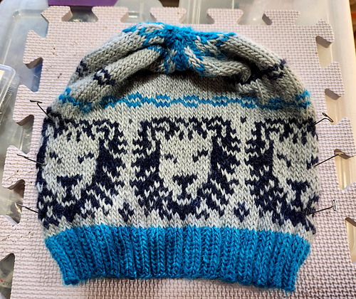 Ravelry: Kay, Maggie & Fissiped carnivores pattern by bunnymuff - Mona ...