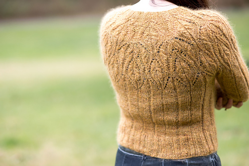 Ravelry: Barley pattern by Jennifer Wood