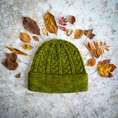 Ravelry: Crown-shy pattern by Ysolda Teague