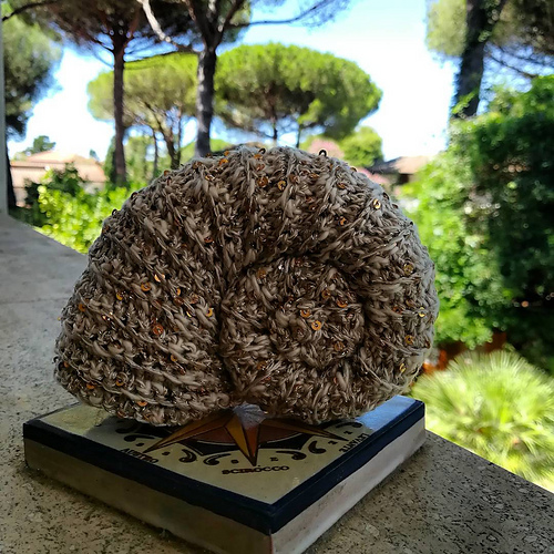 Ravelry: Ammonite fossil pattern by PauPaul