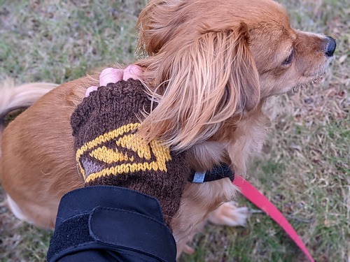 Ravelry: Communication Mitts pattern by Stacy Pamela
